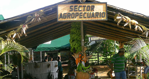 Bugaba el granero de Panamá - Ver Panamá