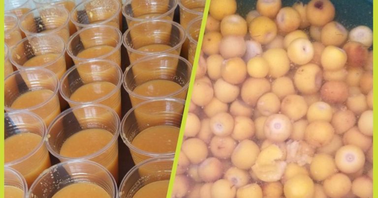 Nance 2020 "La fruta Tropical Controversial - Ver Panamá