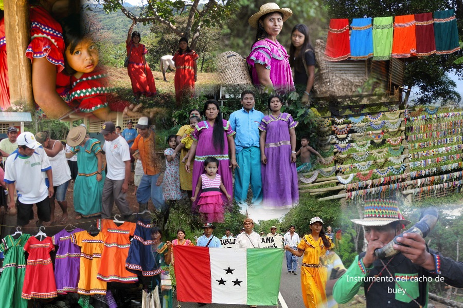 Ngäbe Buglé 2020 "inestabilidad y gobernabilidad" - Ver Panamá